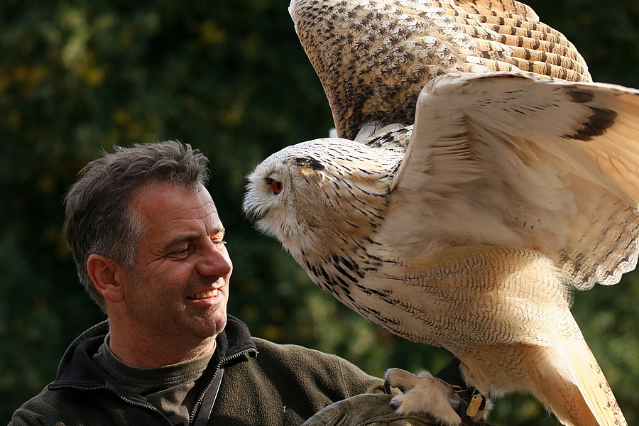 Falknerei Ronneburg - RheinMain4Family