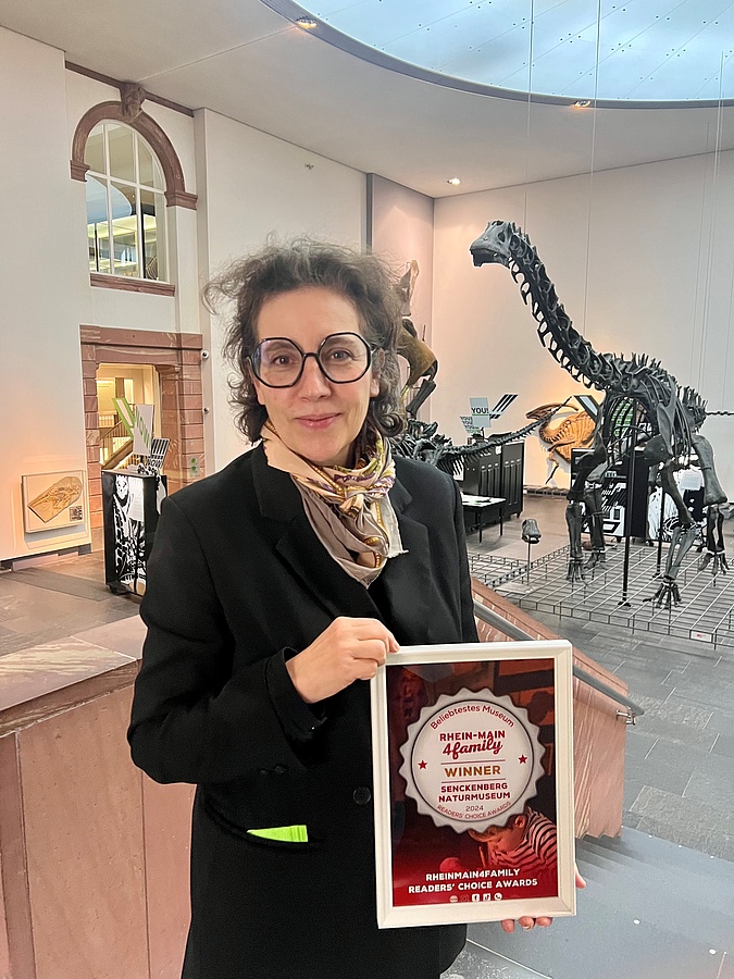 RheinMain4Family Readers' Choice Awards: Die besten Museen für Familien im Rhein-Main-Gebiet ...